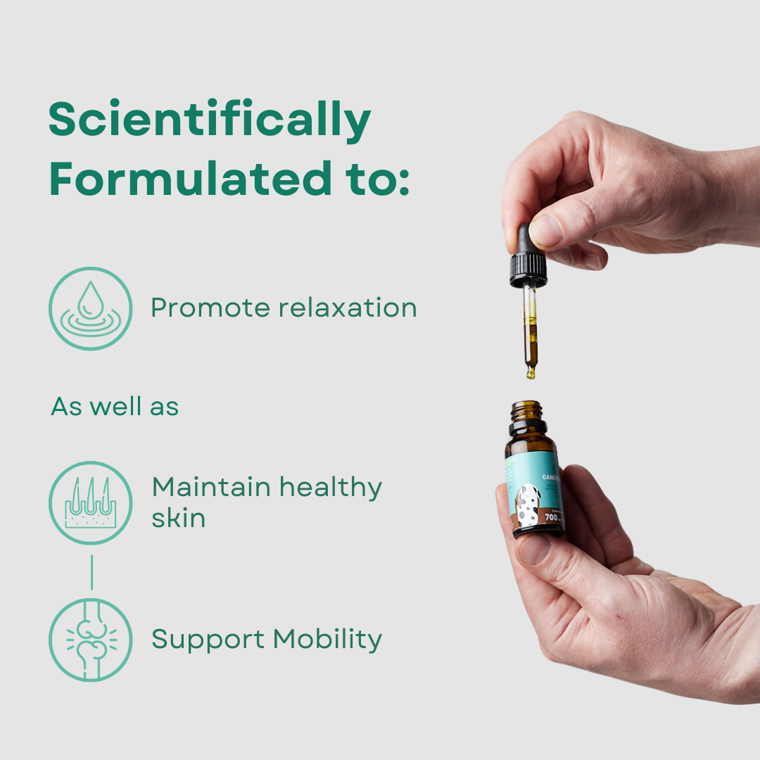 Calm Essentials Combo - Small Dogs