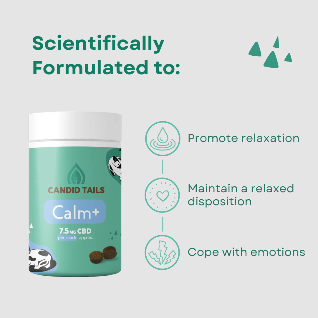 Calm Essentials Combo - Big Dogs (>15Kg)